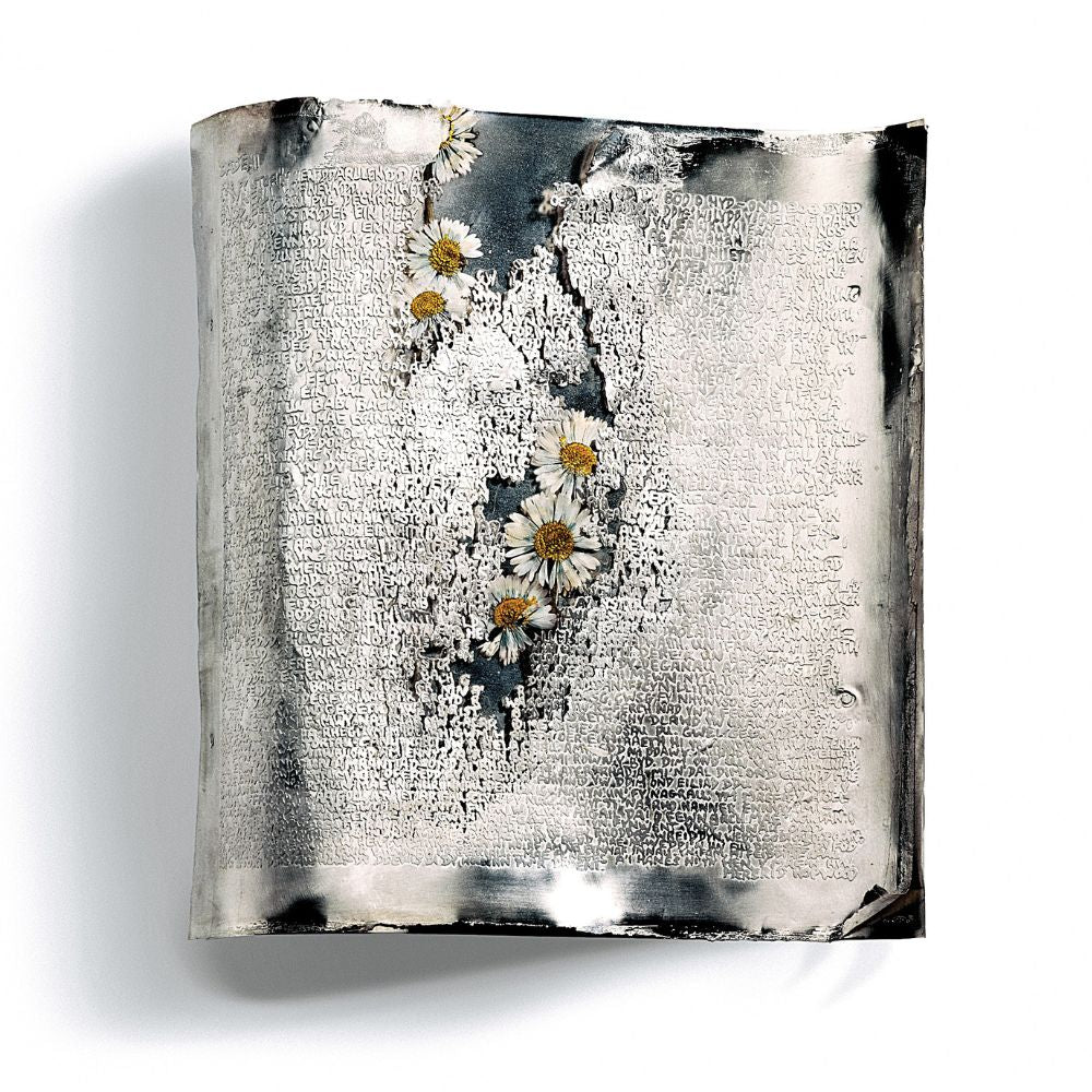 Notable Projects – Mari Thomas Jewellery